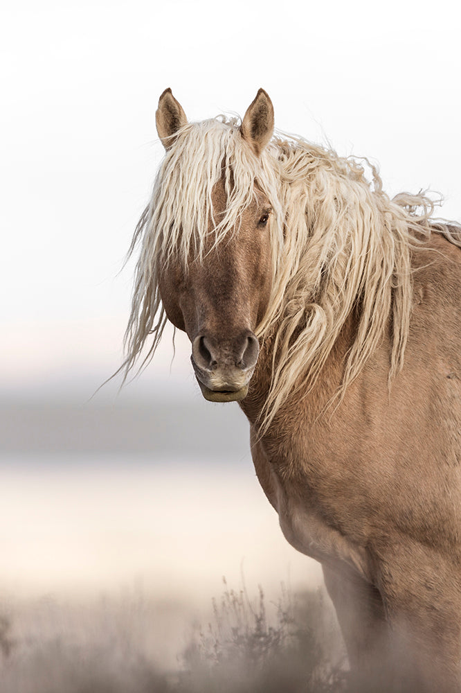how to make a lions mane for a horse