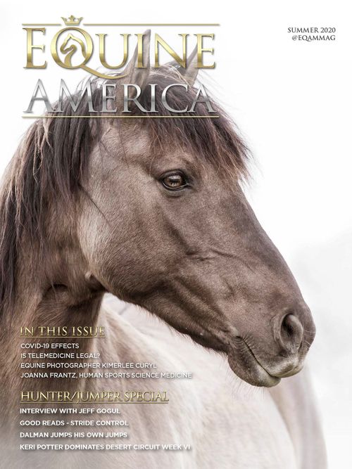 American Equine Magazine – Kimerlee Curyl Wild Horse Photography